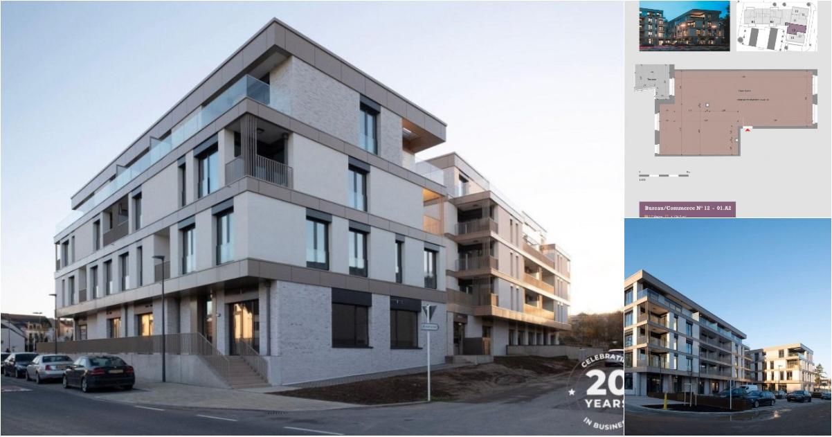 Kantoor te koop in 15 Rue des Pr Mersch (RBU17095)