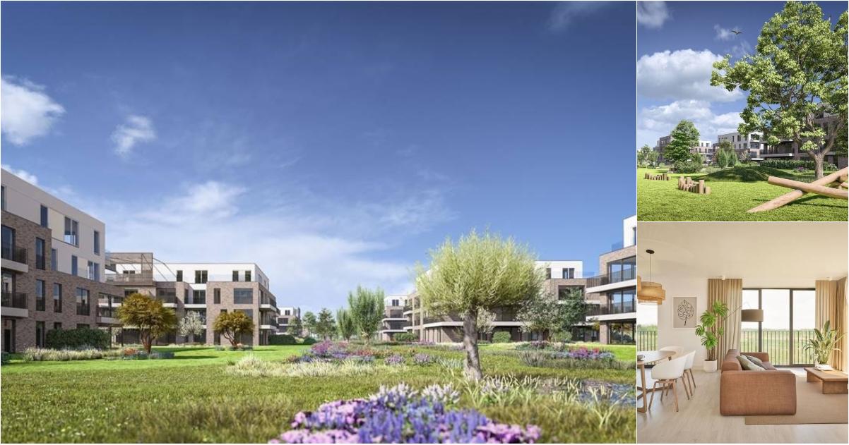 Appartement te koop in Sportweg Stabroek (RBW09676)