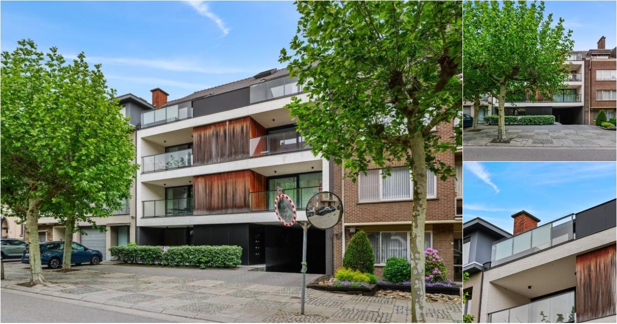 Appartement à louer à Tichelrijstraat 10 Saint-Trond (RBW19256)