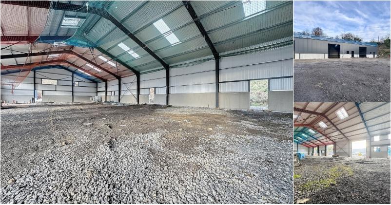 Surface industrielle à louer à Rue Joseph Potier 11 Sprimont (VBD61811)