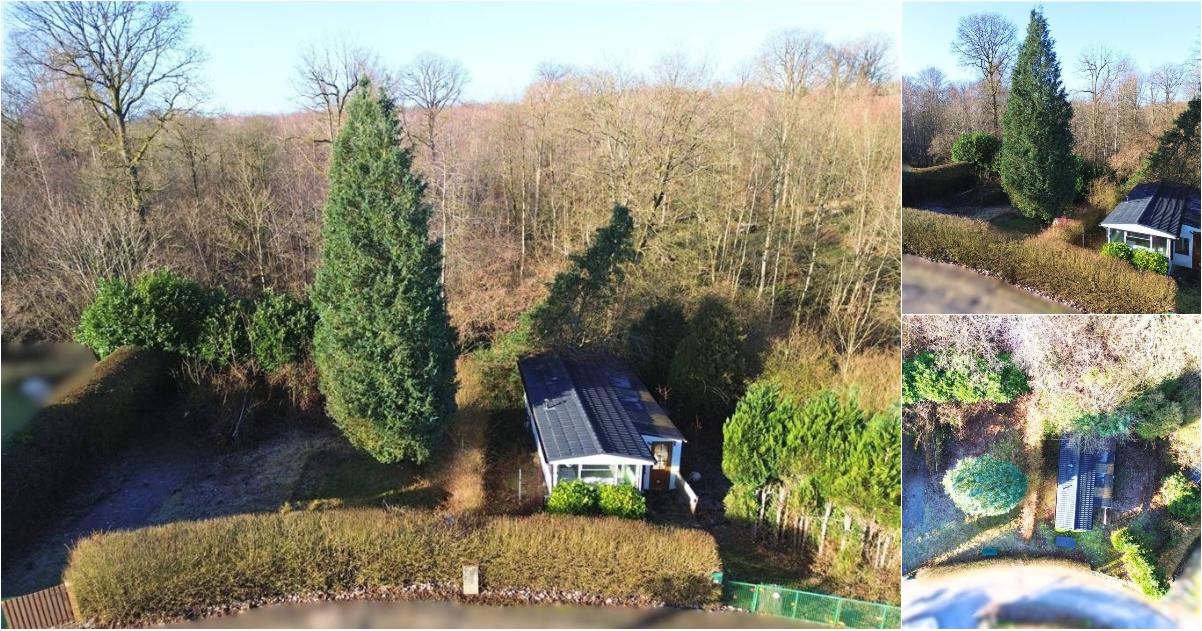 Bungalow à vendre à Parc Résidence le Cul de Cheval 40 Froidchapelle ...