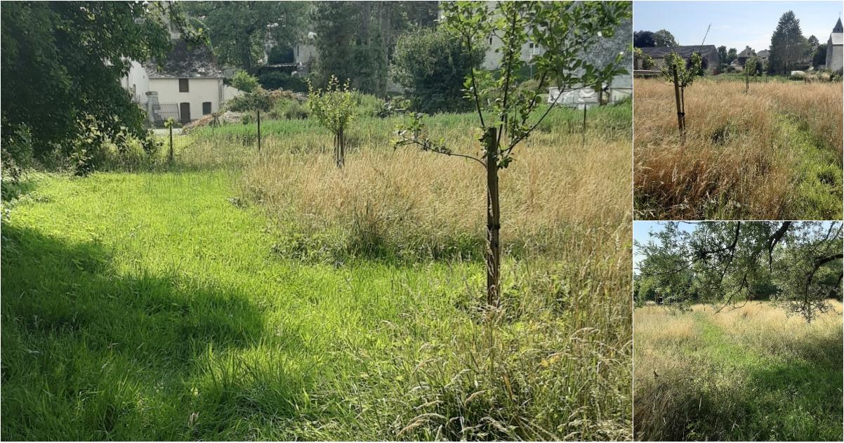 Terrain à bâtir à vendre à Chemin de soulme 56 Surice (VWD11913)